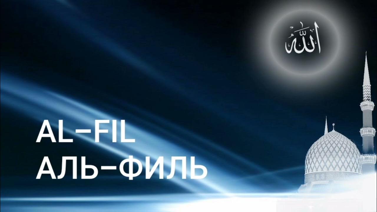 Сура Аль-Филь (Слон)|Чтец Мишари Рашид - YouTube