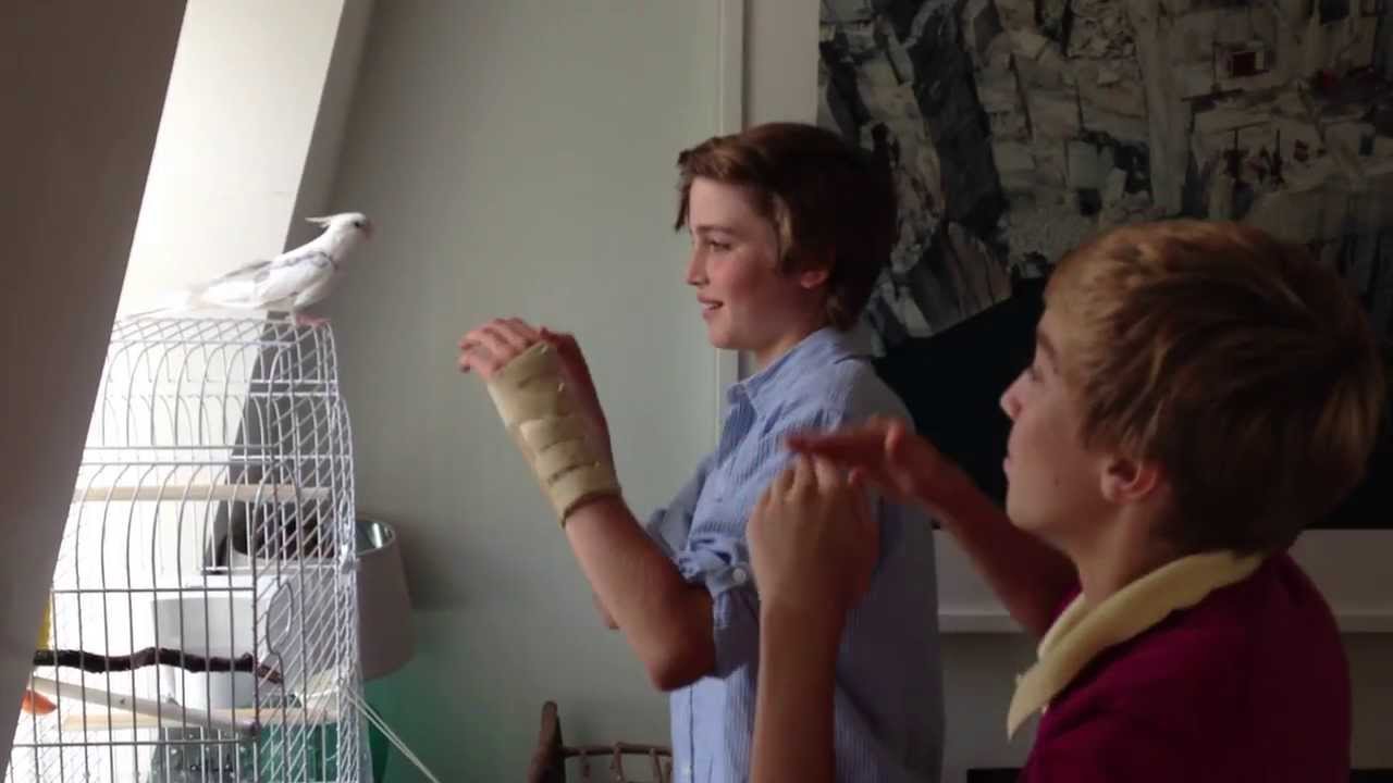 Fred Rap - Rapping Cockatiel - YouTube