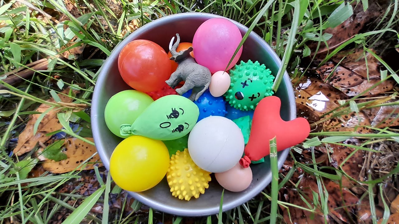 Mencari Mainan di kebun Bola Duri Bola Warna Warni Balon Animals Gajah ...