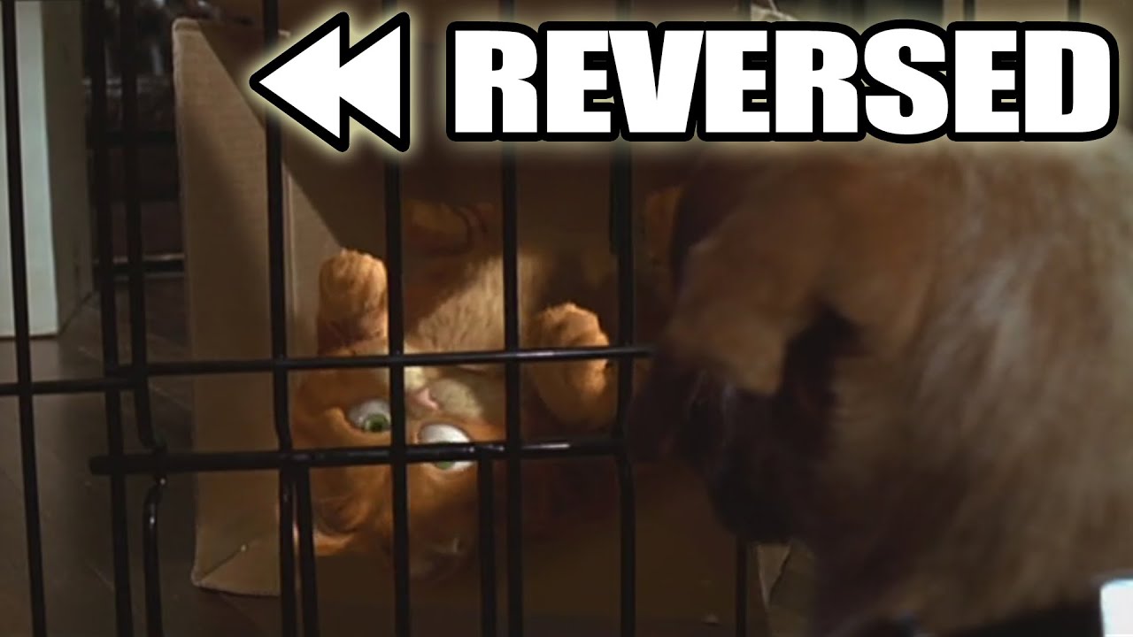 Garfield (2004) | Garfield falls through boxes REVERSED - YouTube
