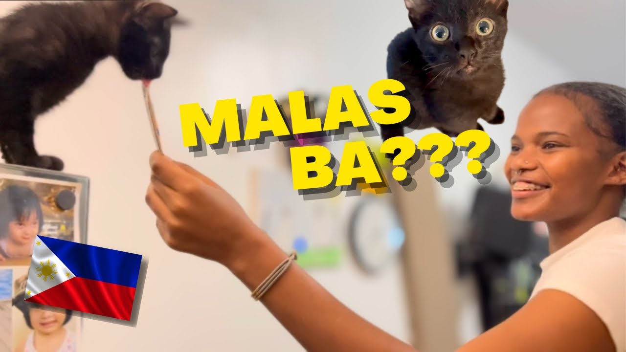 I adopted a CUTE FILIPINO FUR BABY!!!♥️🇵🇭 Malas ka ba??? - YouTube