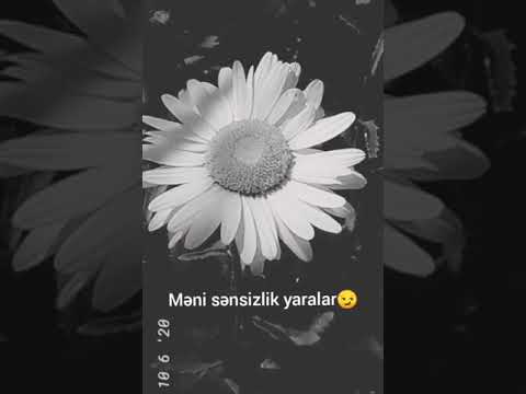 Qısa sevgi statusları 2020 , yeni videolar🖤Ən yeni mahnılar 🖇️🎼