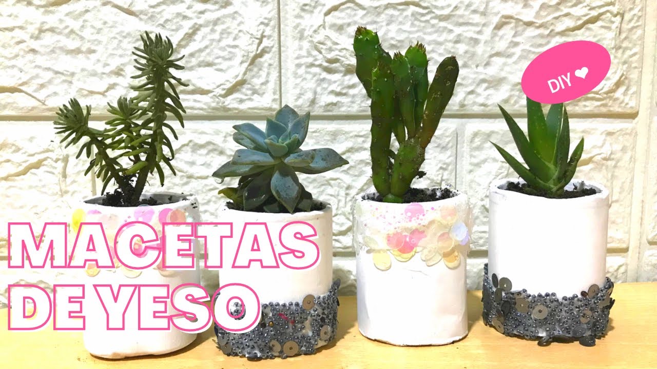 Cómo hacer macetas de yeso para tus plantitas, DIY macetas de yeso ...