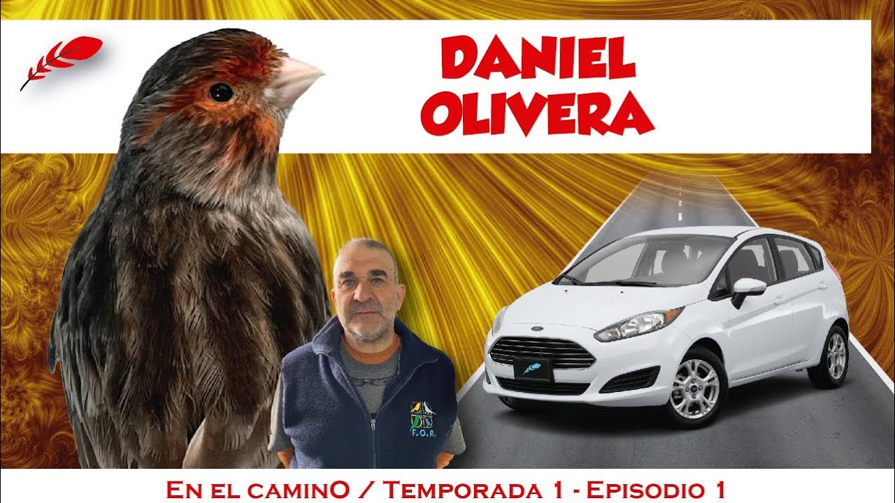 Visita criadero de daniel olivera - YouTube