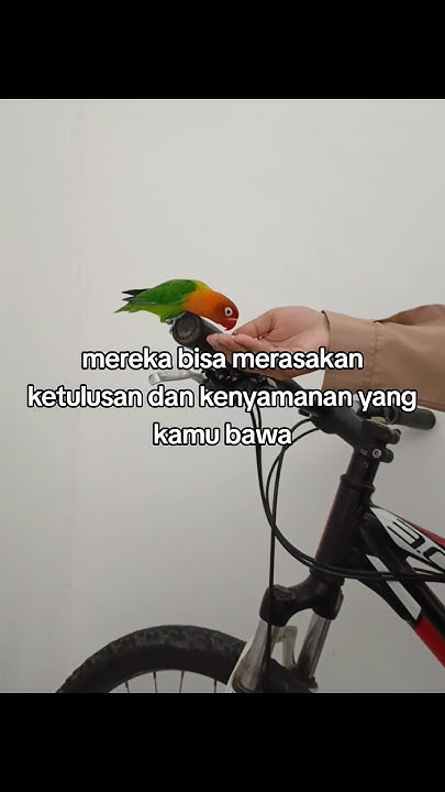 ini dia 7 tanda kamu memiliki aura yang positif - YouTube