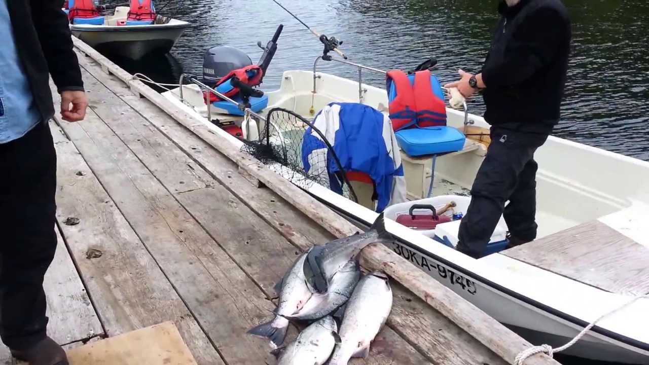 Hakai Pass and Hakai Lodge BC Wild Salmon Fishing - YouTube