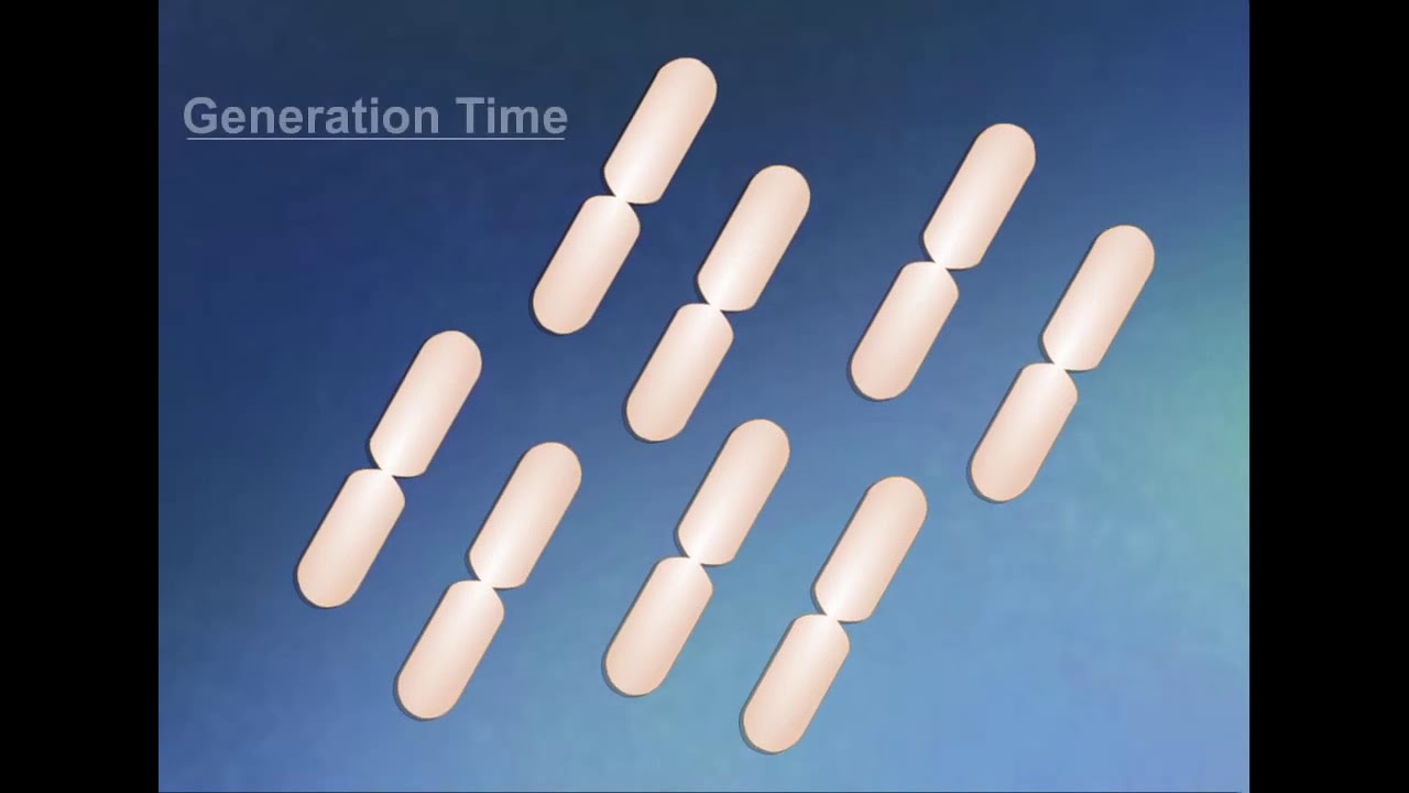 Binary Fission HD Animation - YouTube