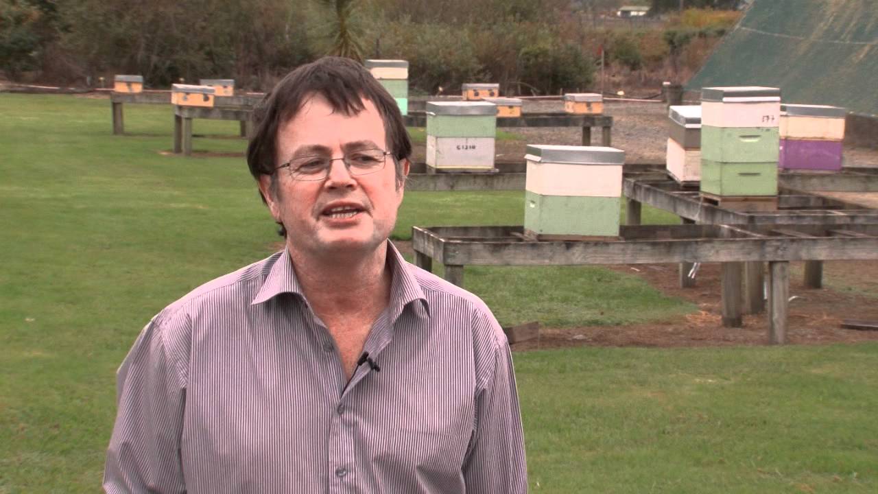 Pollination with Dr Mark Goodwin - YouTube