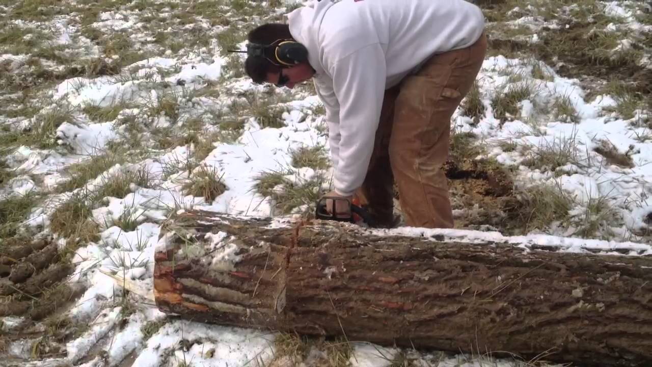 Stihl MS 270 farm boss chainsaw - YouTube