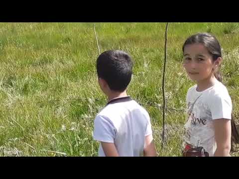 QRDUBAD-DIRNIS \