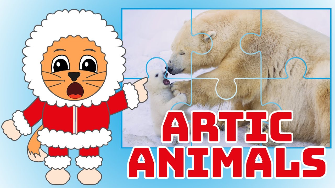 Artic Animal Facts for Kids | Snow Animals for Kids | Polar Animals ...