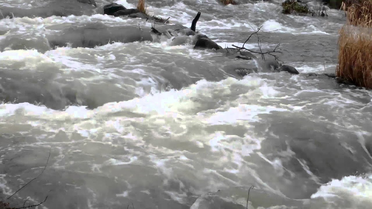 Rapids River Stream with sound - Backgroundvideo - YouTube