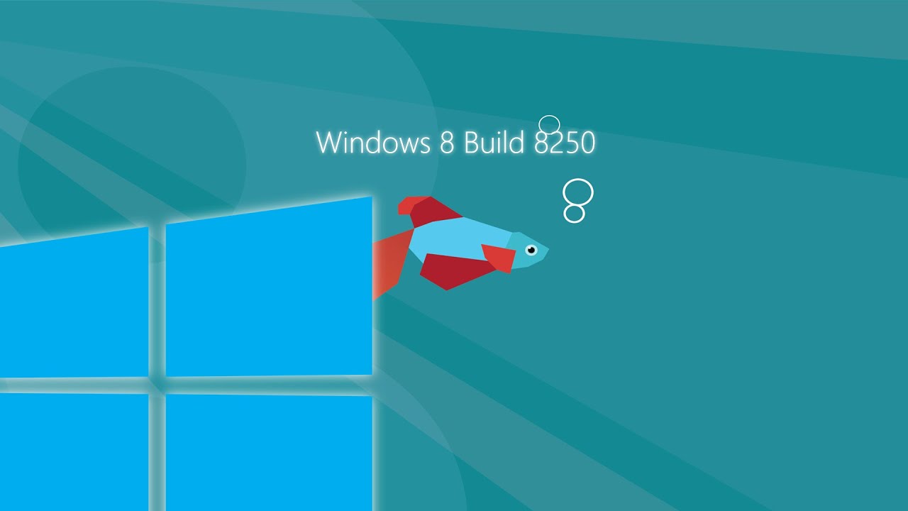 Taking a look at Windows 8 Build 8250 (Consumer Preview) - YouTube
