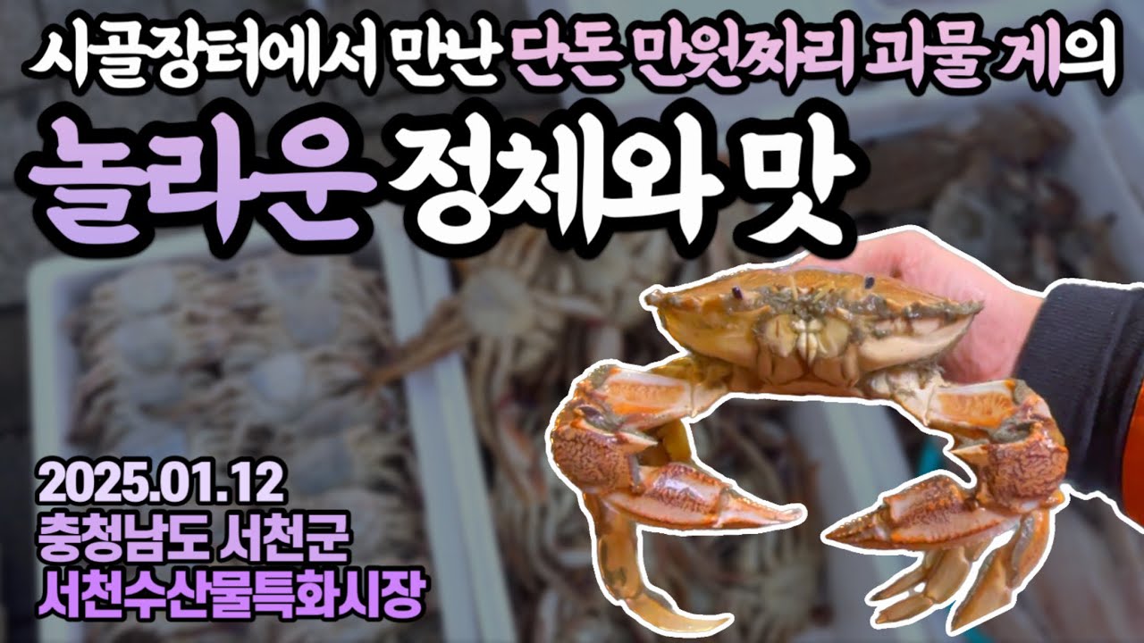 이게 진짜 ‘그 게야어떻게 이런맛을 내지😱괴물 게의 충격적인 정체와 그보다 더 충격적인 맛😞 Youtube