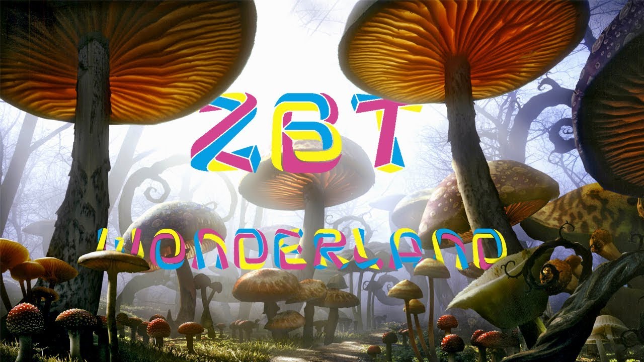 USC ZBT Wonderland - YouTube