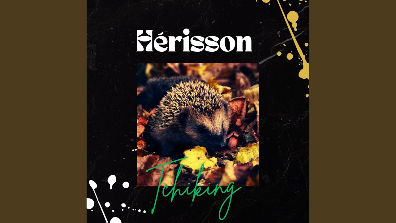 Hérisson - YouTube