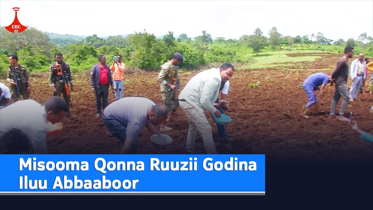 Misooma Qonna Ruuzii Godina Iluu Abbaaboor - YouTube