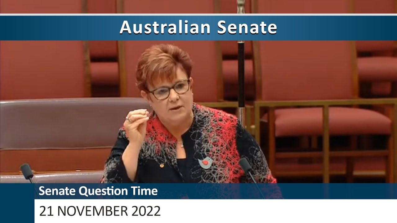 Senate Question Time - 21 November 2022 - YouTube