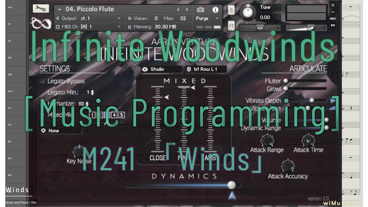 wiMu M241 Winds [Infinite Woodwinds][DTM研究][木管] - YouTube