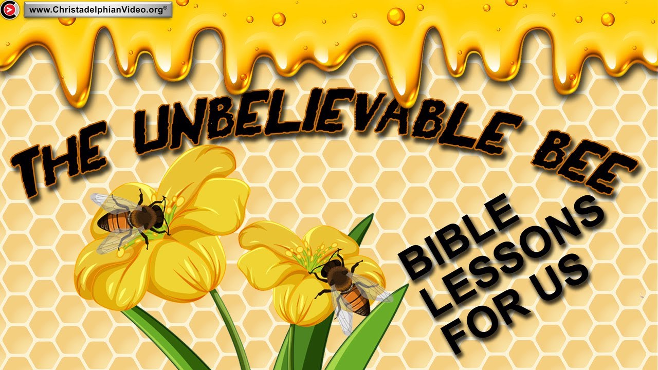 The Un-Believable Bee; Lessons from the Bible for us! - YouTube