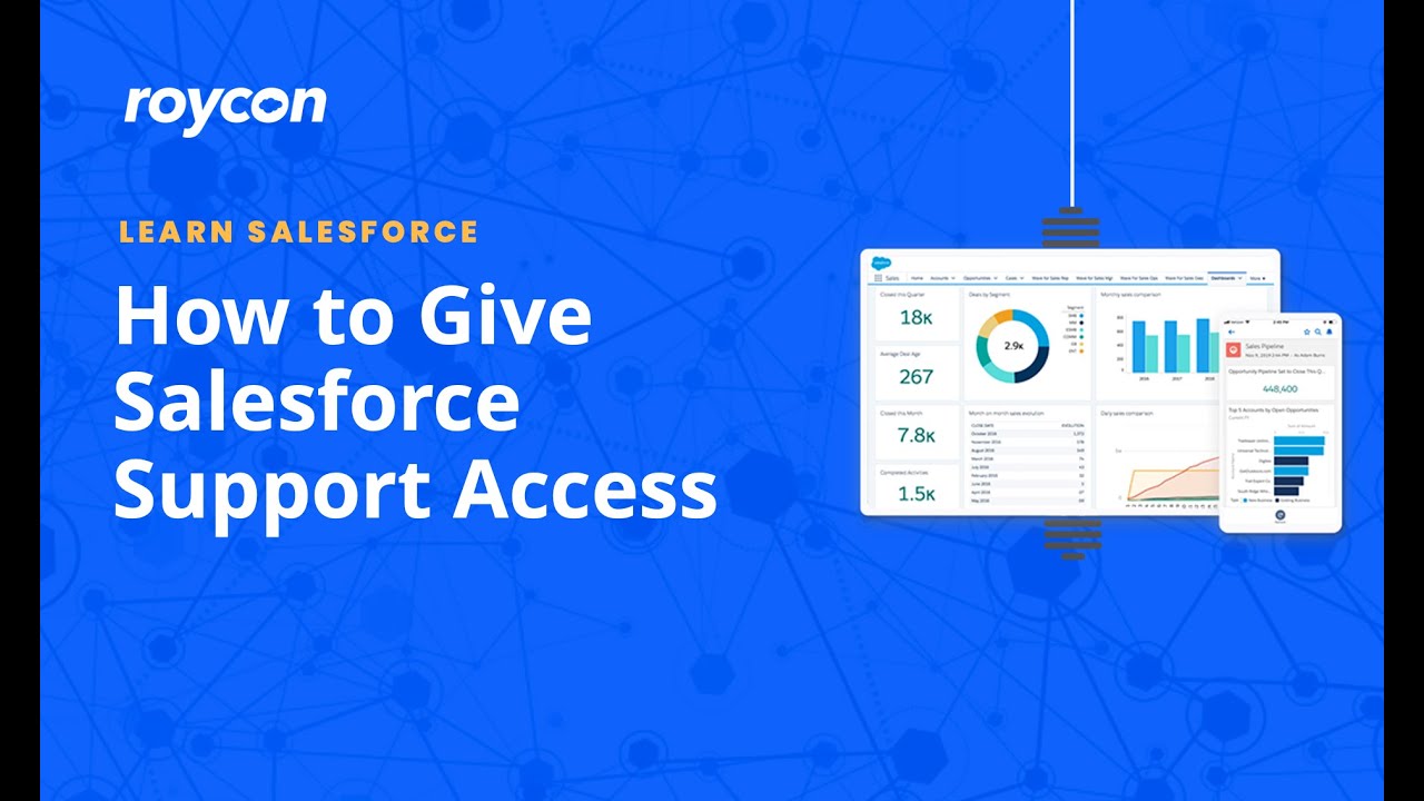 How to Give Salesforce Support Access - YouTube