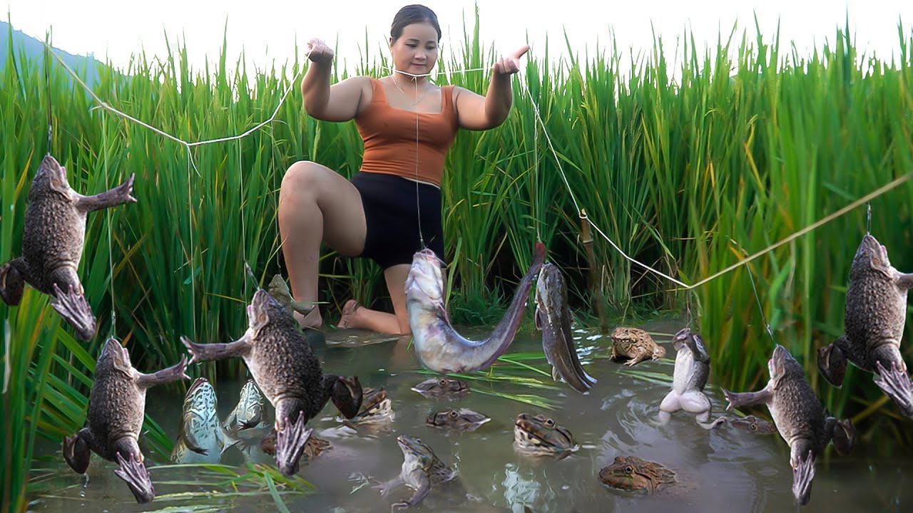 A 20-day frog-trapping challenge using old tires and fishing hooks ...