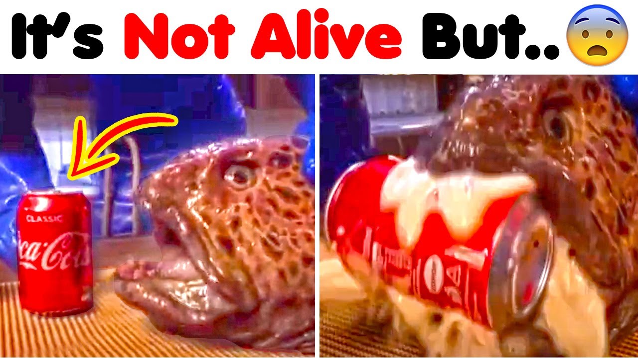 Weird Experiments With Unexpected Results - YouTube