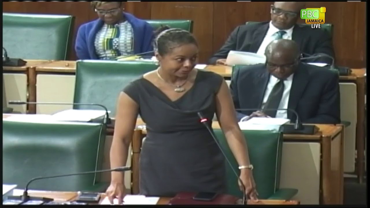 Sitting of the House of Representatives - July 2, 2019 - YouTube