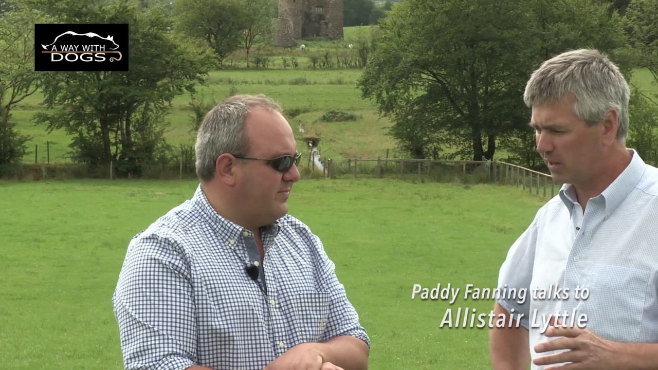 2. Sheepdog Trial, Irish National Ch. Allistair Lyttle & Paddy Fanning ...