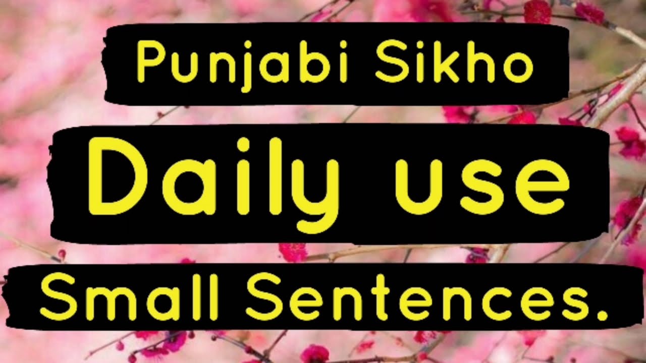 Daily Use Small Sentences Punjabi Language Kaise Sikhe Punjabi Bolna daily-use-small-sentences-punjabi-language-kaise-sikhe-punjabi-bolna