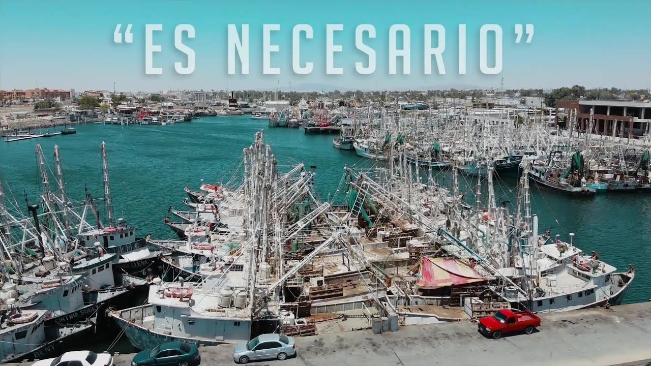 Es Necesario (It is necessary) Video Oficial - YouTube
