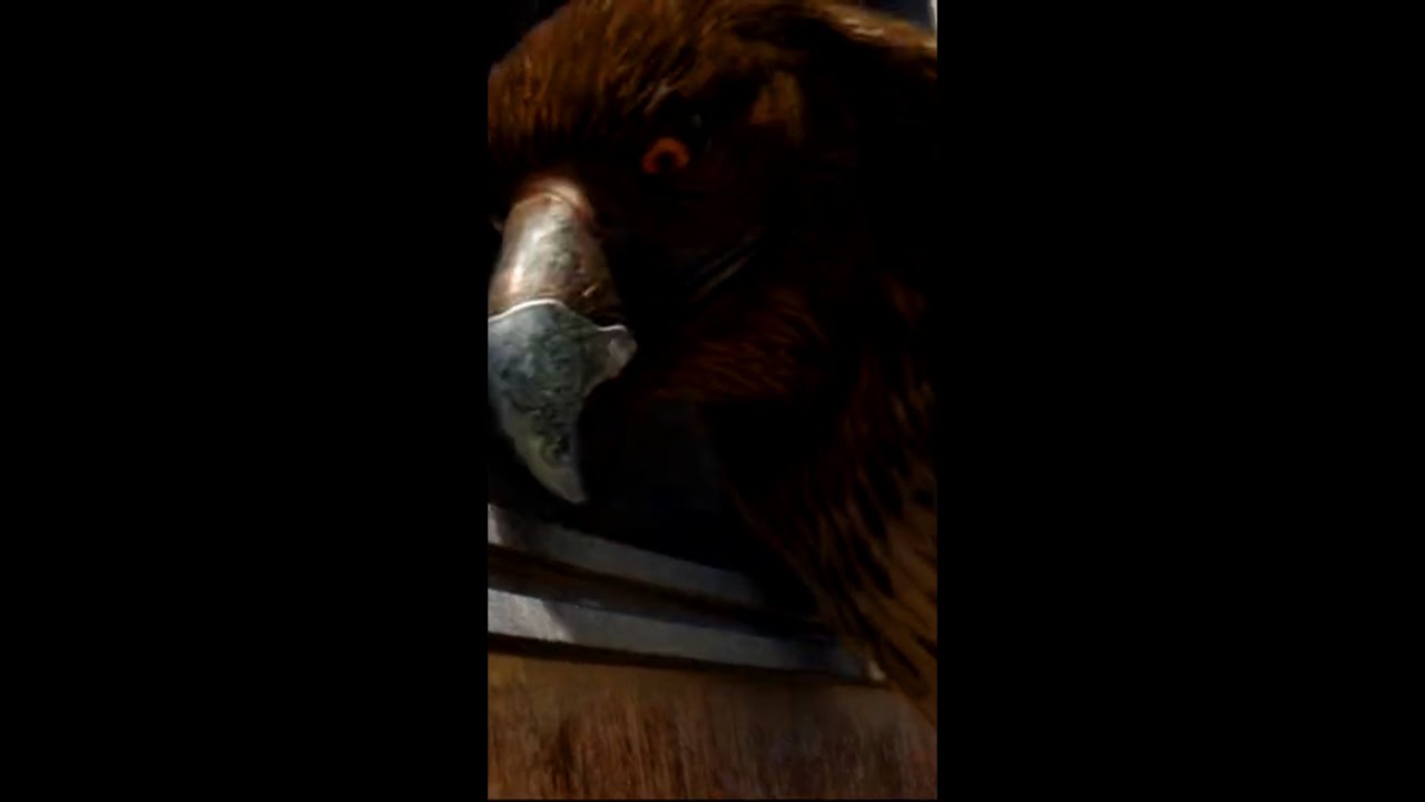 Rango Vs Eagle Fight Scene | Hollywood All Time Best Scenes | #Rango # ...