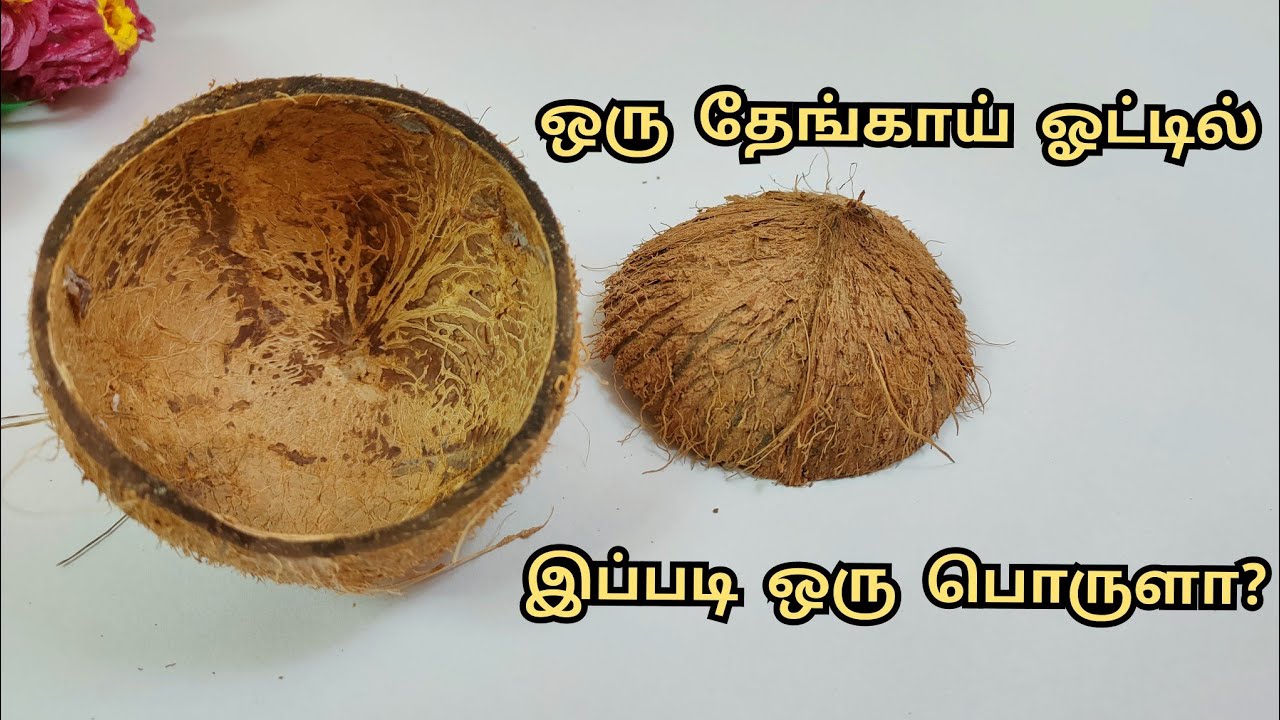 Coconut Shell Reuse Idea| Waste to Multipurpose Organizer - YouTube