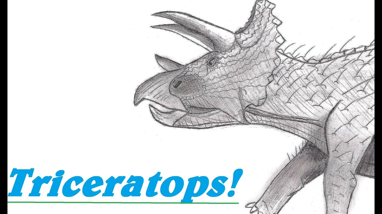 Triceratops: The Arch-Enemy of T. rex - YouTube