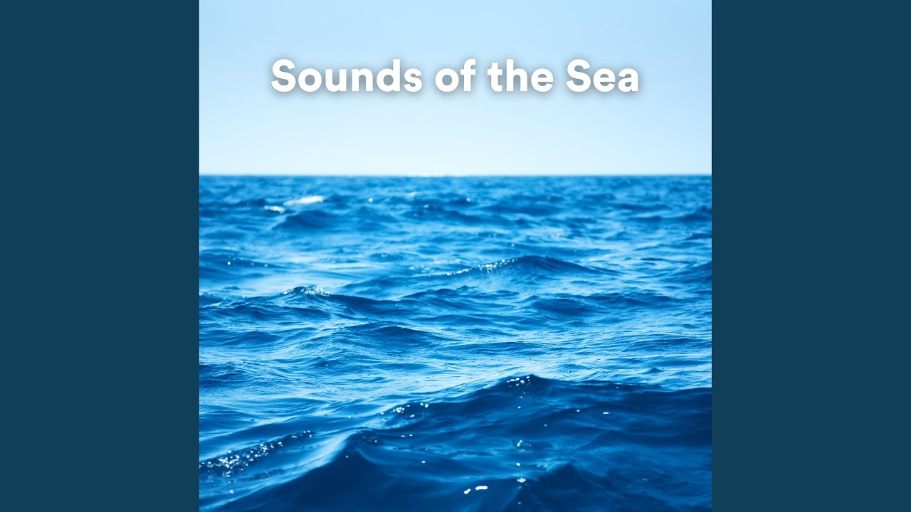 Ocean Recuperate - YouTube