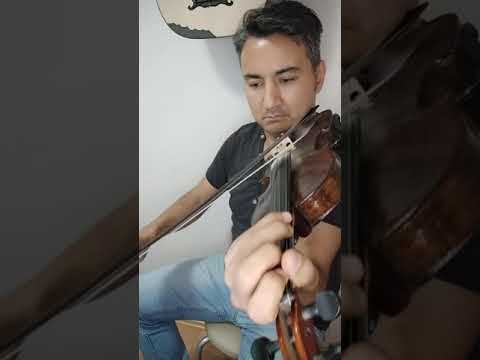 Yine Bir Gülnihal (keman)🎻