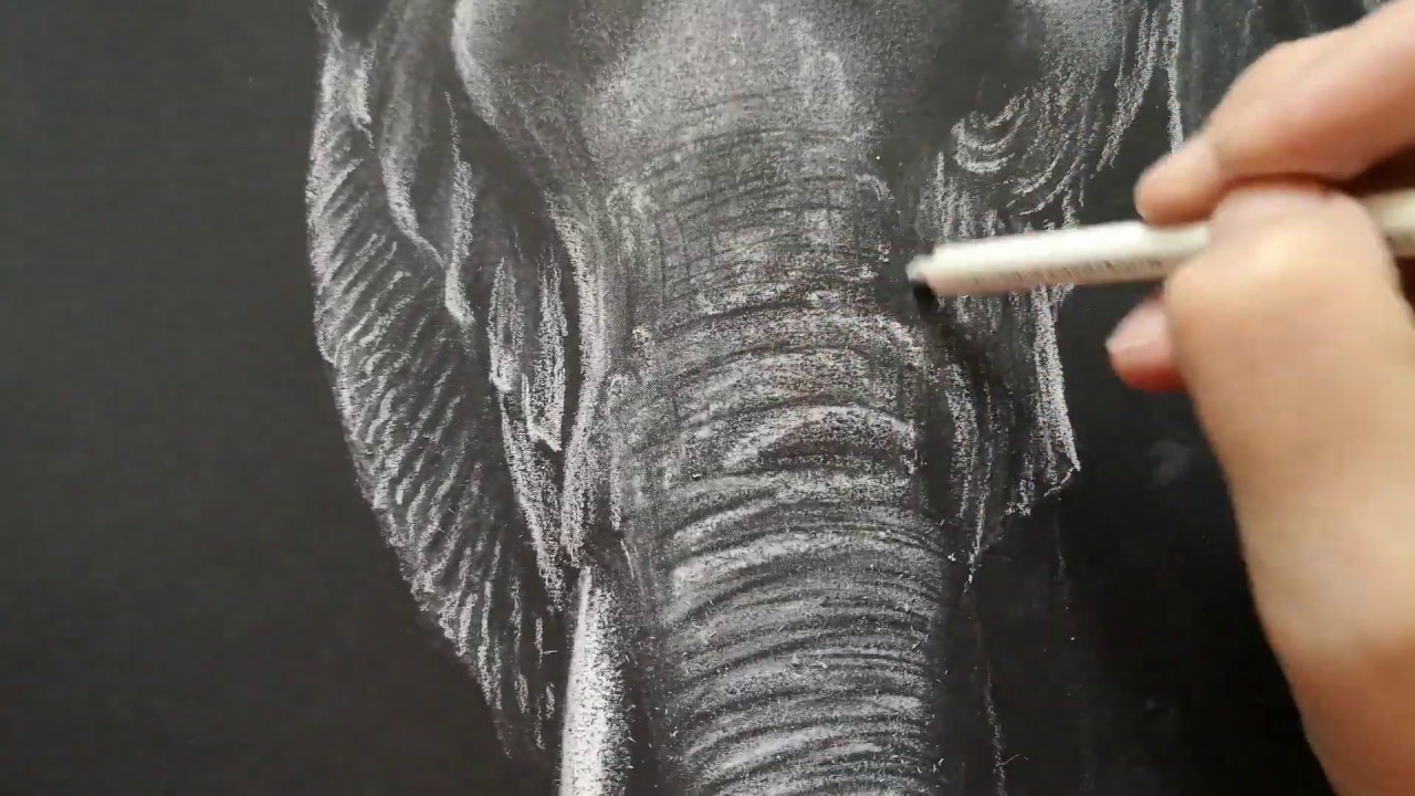 How to draw an Elephant on black paper step by step - YouTube
