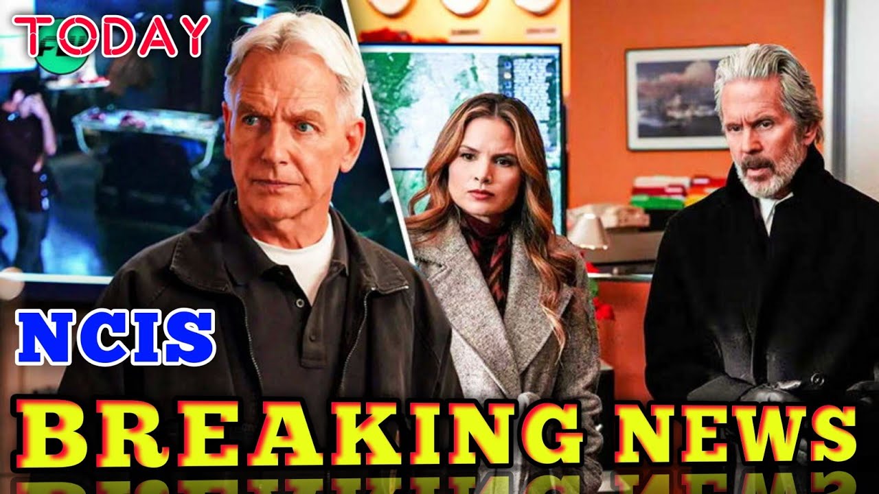 "Mark Harmon's NCIS Feud Started with a Dog Bite? The Shocking Truth ...