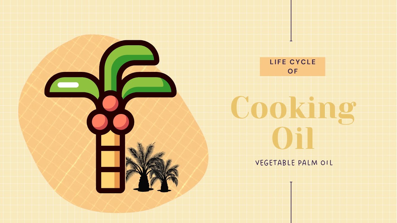 Life cycle assessment (LCA) of cooking oil - YouTube