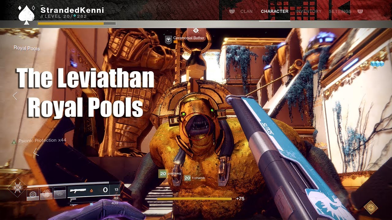 Destiny 2 - Raid - Royal Pools - How to Stop the Bathing Ritual - YouTube