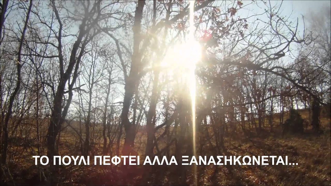 ΤΖΙΝΑ ΚΑΙ ΒΥΡΟΝ ΣΕ ΜΠΕΚΑΤΣΑ - YouTube