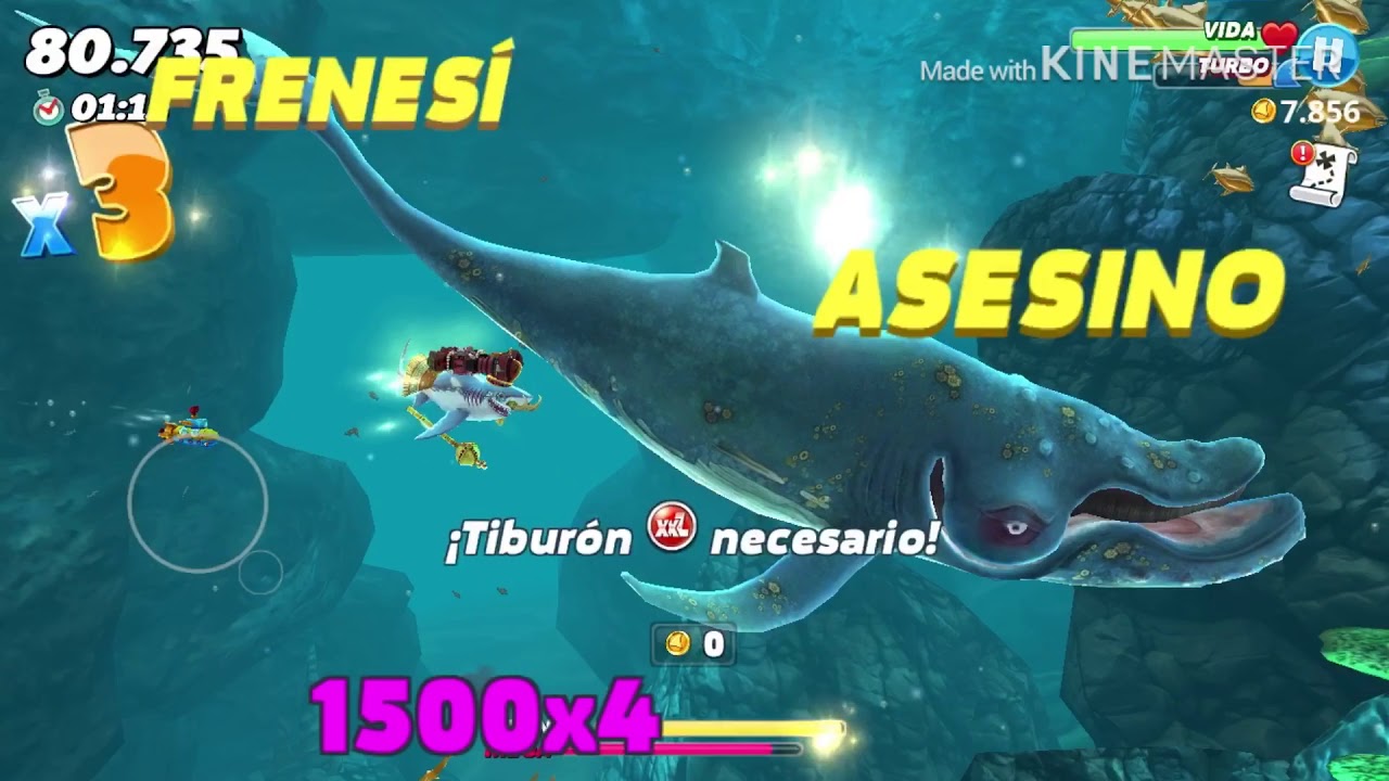 Subiendo al max al tiburón cailon #2 - YouTube