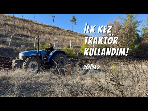 Traktörle Tarla Sürme, Fidan Dikimi İçin Toprak Hazırlığı 🚜