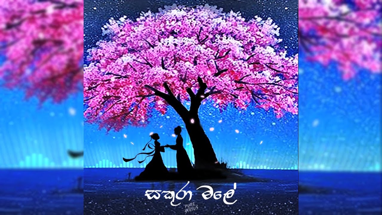 Sakura Male - Charitha Attalage ft. Manasick Lyrics Whatsapp Status ...