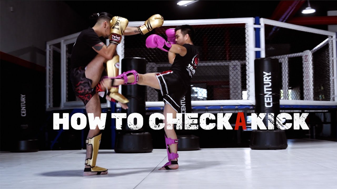 How To Land A Leg Kick - YouTube