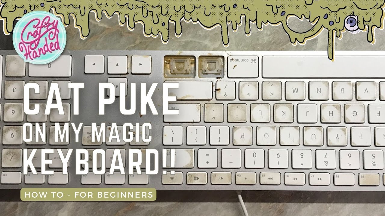 How to clean the old Apple Magic Keyboard from liquids - YouTube