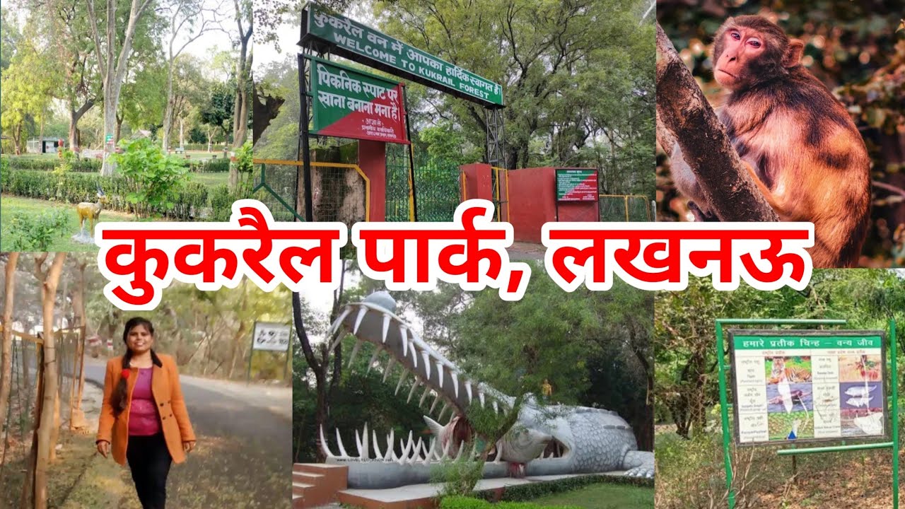 Kukrail Forest Lucknow, Kukrail Park 🏞️ Picnic Spot, कुकरैल पार्क लखनऊ🥰 ...