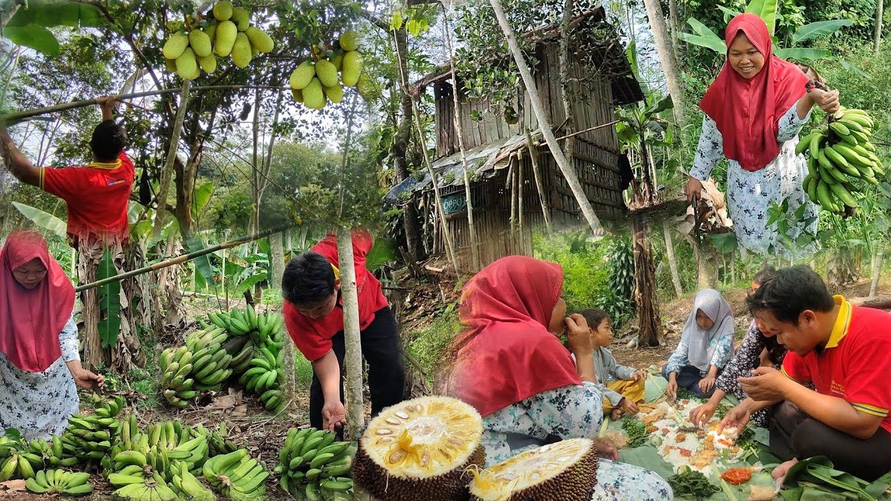 Aprak Aprakan Ke Hutan, Panen Dikebun, Lanjut MASAK Menu Yang Satu Ini ...