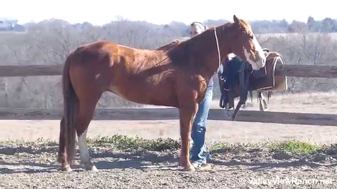 Flip In Color aka "Loretta" - riding bareback - Valley View Ranch - YouTube