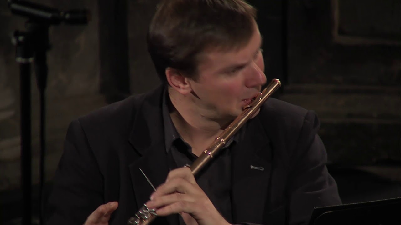 XY Mike Zhou (China, res. New York, USA) - "All The Small Things" - YouTube